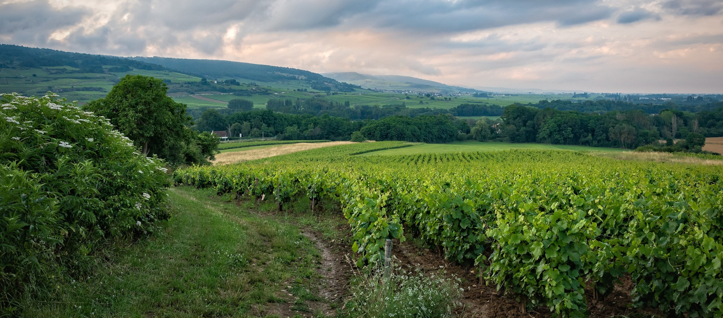La nature, atout pour l’attractivité des territoires ruraux | Cap'Com ...